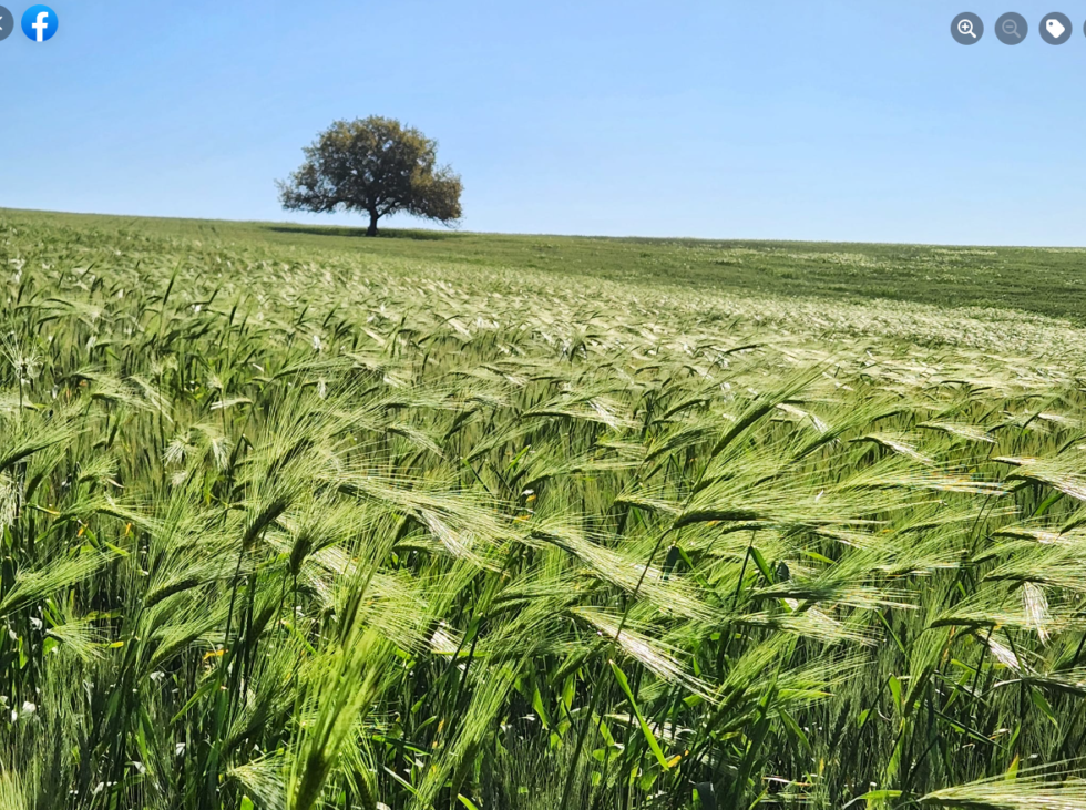 Shabbat HaChodesh-The Realities of The Sabbath Before the Biblical New ...